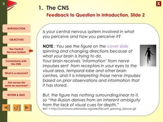 Integrated Science M2 The Central Nervous System | PPT | Brain and Nervous System Disorders ...