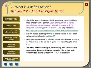 Integrated Science M2 Voluntary and Involuntry Actions | PPT