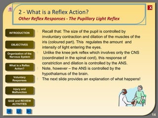 Integrated Science M2 Voluntary and Involuntry Actions | PPT