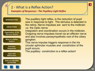 Integrated Science M2 Voluntary and Involuntry Actions | PPT