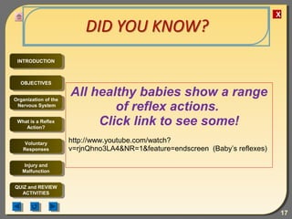 Integrated Science M2 Voluntary and Involuntry Actions | PPT