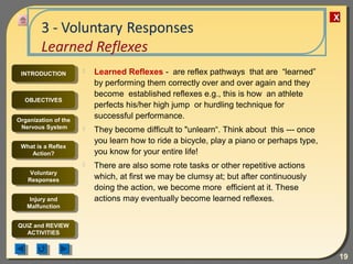 Integrated Science M2 Voluntary and Involuntry Actions | PPT