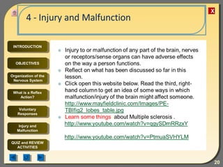 Integrated Science M2 Voluntary and Involuntry Actions | PPT