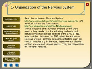 Integrated Science M2 Voluntary and Involuntry Actions | PPT