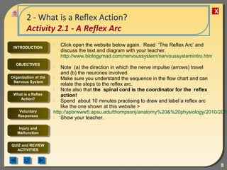 Integrated Science M2 Voluntary and Involuntry Actions | PPT