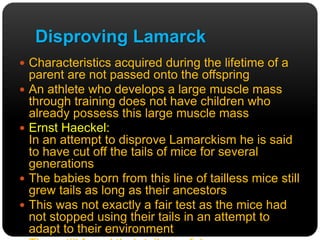 Jean Baptiste Lamarck's theory of inheritance of acquired characters | PPTX