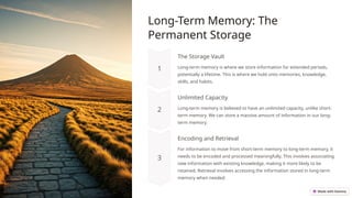 FINAL-MULTI- STORE - MODEL IN PED 3.pptx