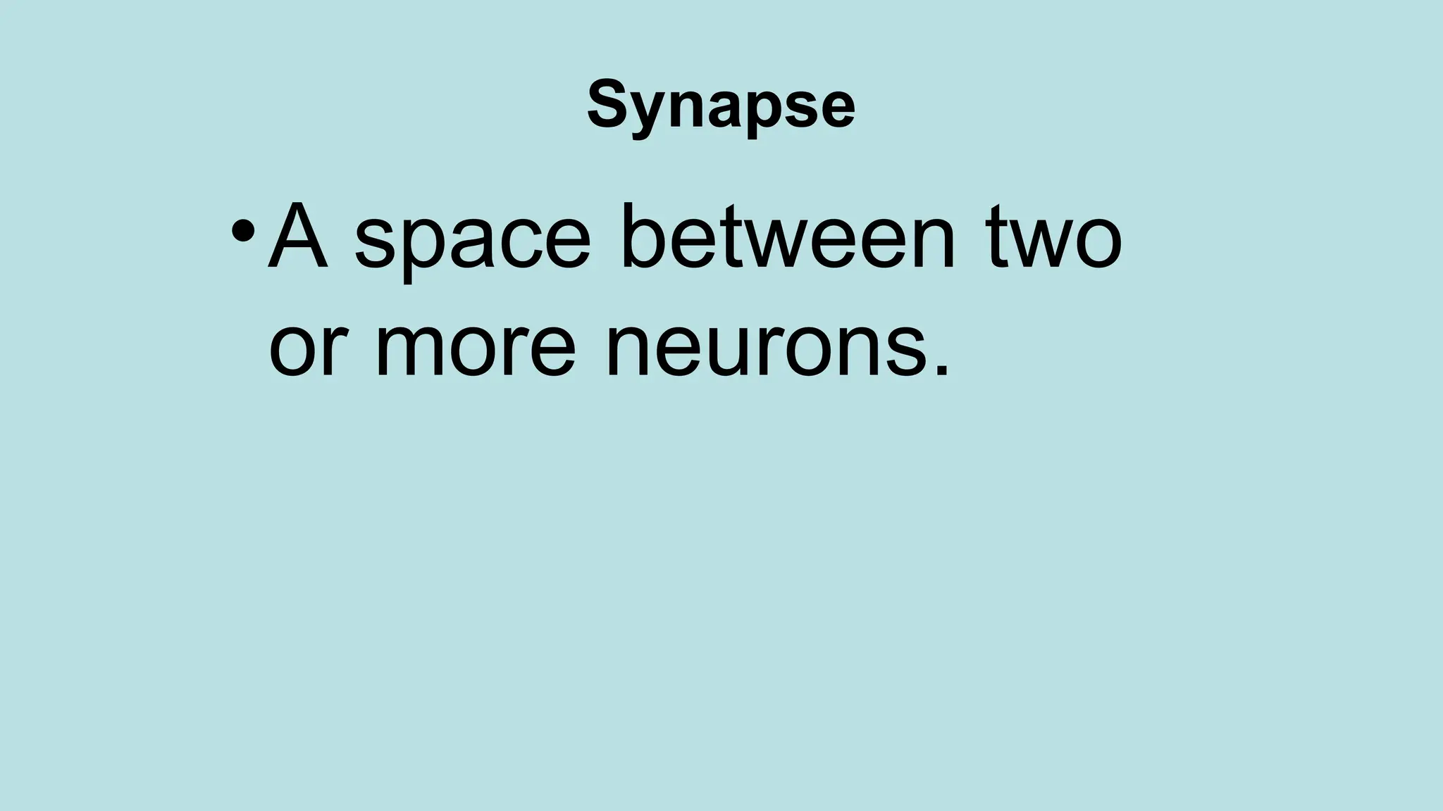 Final Topic: Nervous System Presentation.ppt