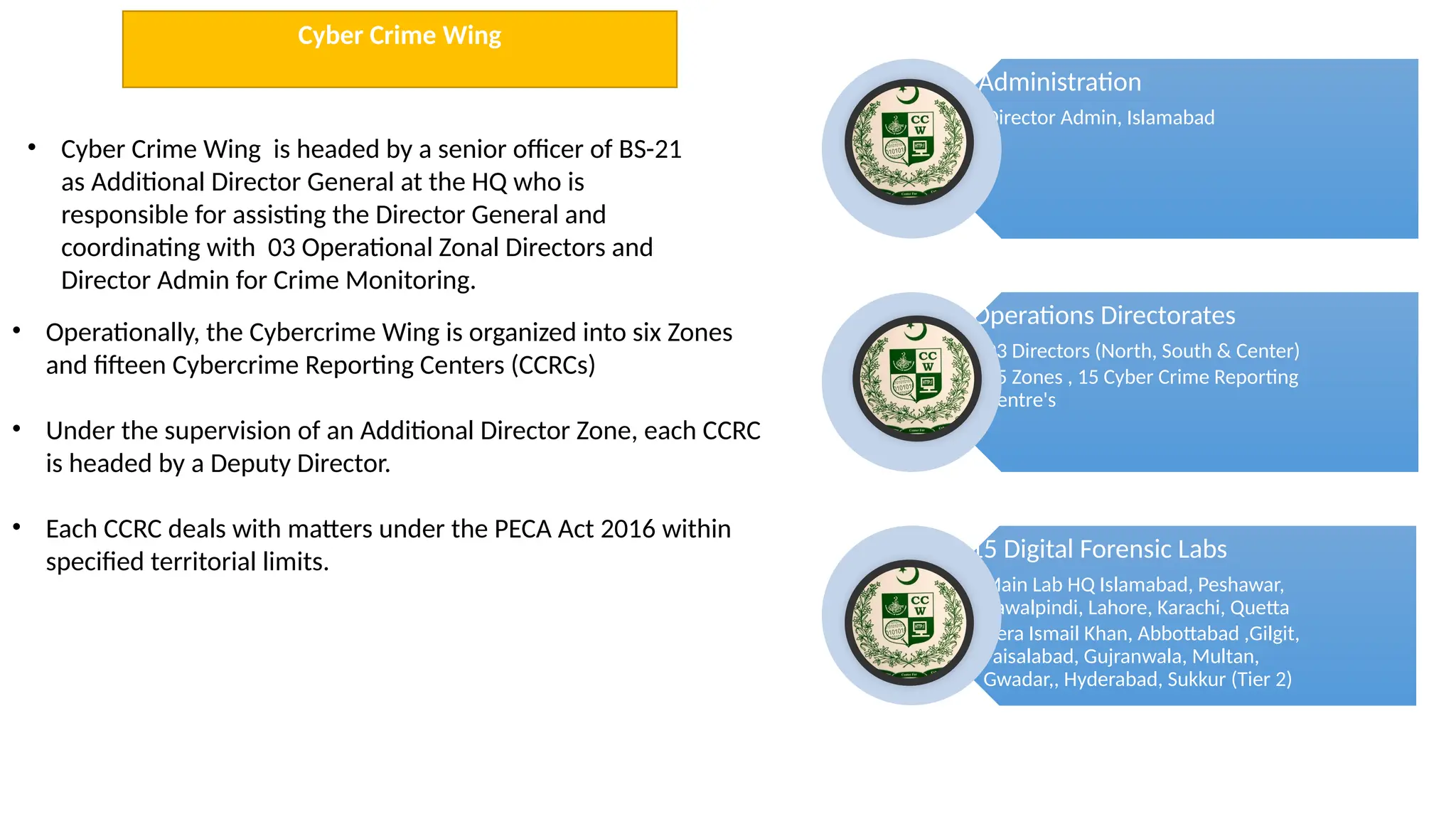 final organogram of an organization using ppt | PPTX