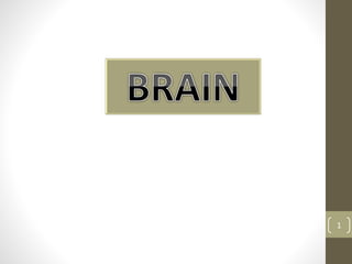 FINAL--PARTS OF BRAIN.pptx