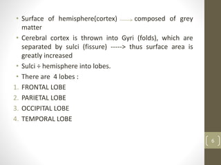 FINAL--PARTS OF BRAIN.pptx