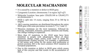 Maple Syrup Urine Disease, Phenylketonuria & Alkaptonuria | PPTX