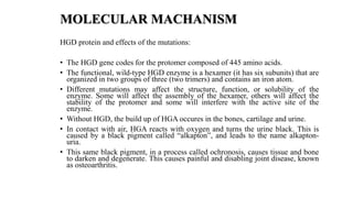 Maple Syrup Urine Disease, Phenylketonuria & Alkaptonuria | PPTX