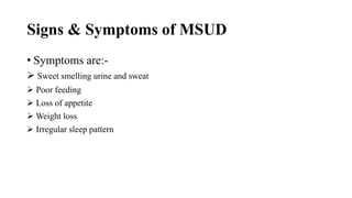 Maple Syrup Urine Disease, Phenylketonuria & Alkaptonuria | PPTX
