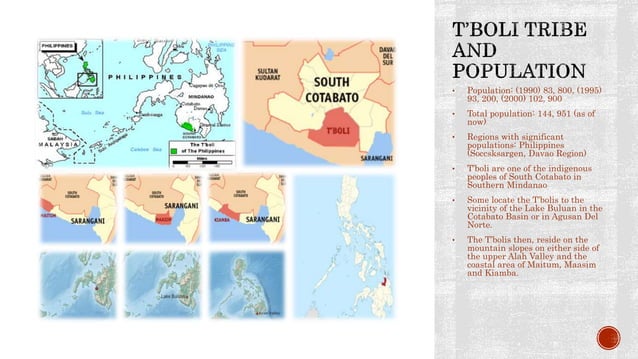 FINAL-PPT-OF-TBOLI-HOUSES.pptx