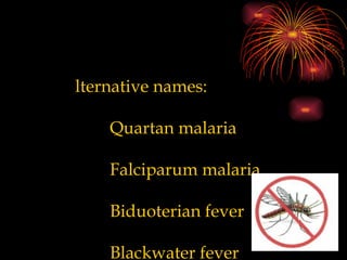 Malaria | PPT