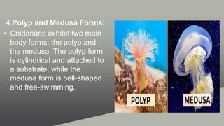 final-report-zoology.pptx animal science | PPT