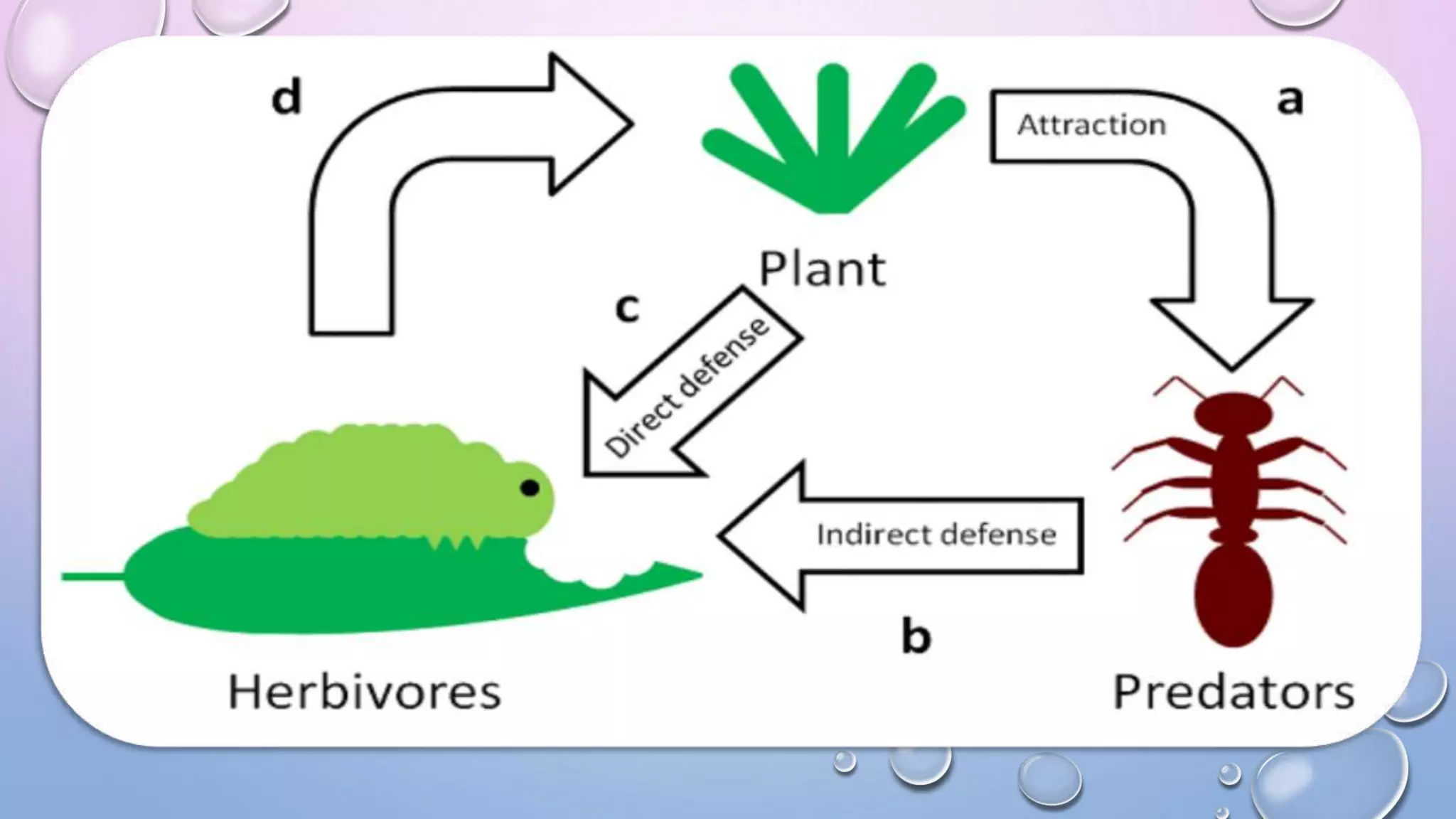 Role of secondary metabolites in insect pest management | PPTX