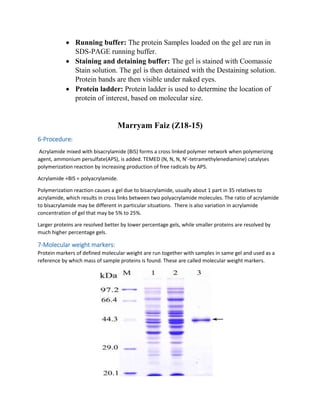 Final - SDS-PAGE electrophoresis.docx