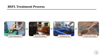 Black Soldier Fly Larvae Treatement | PPTX