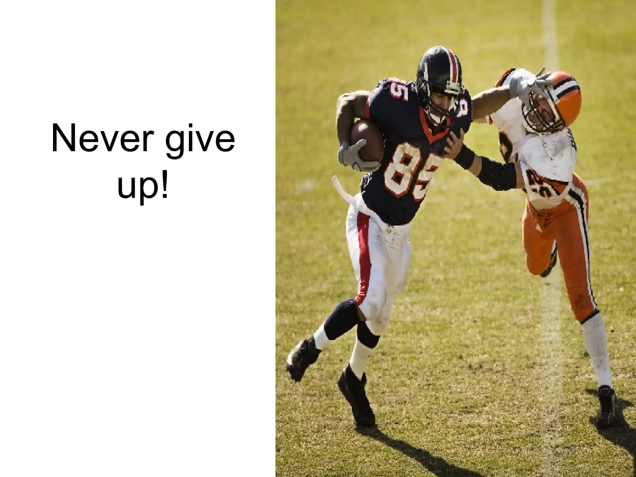 Final Slides Perseverance | PPT