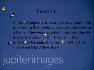 Synergy-Habit 6. | PPTX