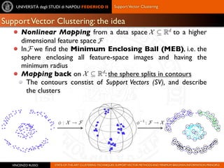 State-of-the-art Clustering Techniques: Support Vector Methods and Minimum Bregman Information ...