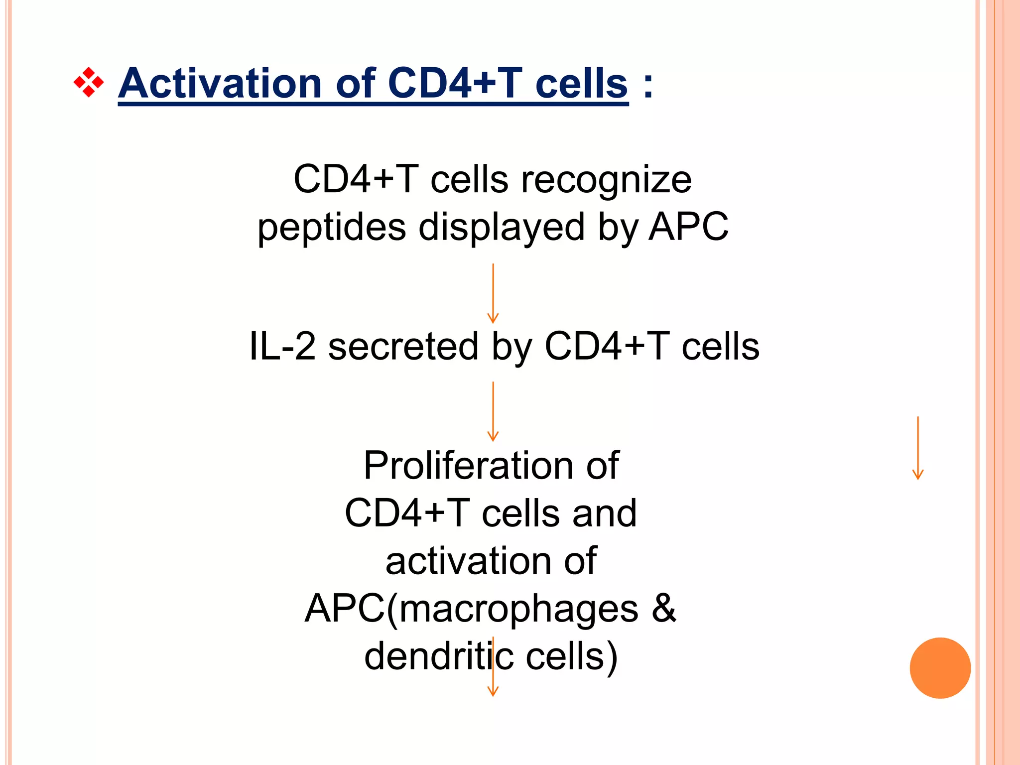 Final type-iv hypersensityvity | PPTX