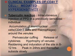 Final type-iv hypersensityvity | PPTX