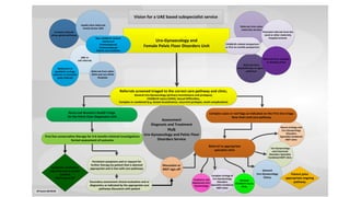 Uro-Gynaecology From Cambridge to UAE? | PDF