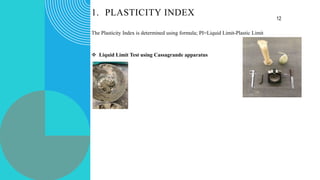 Final-year project midterm evaluation presentation (1) (2).pptx