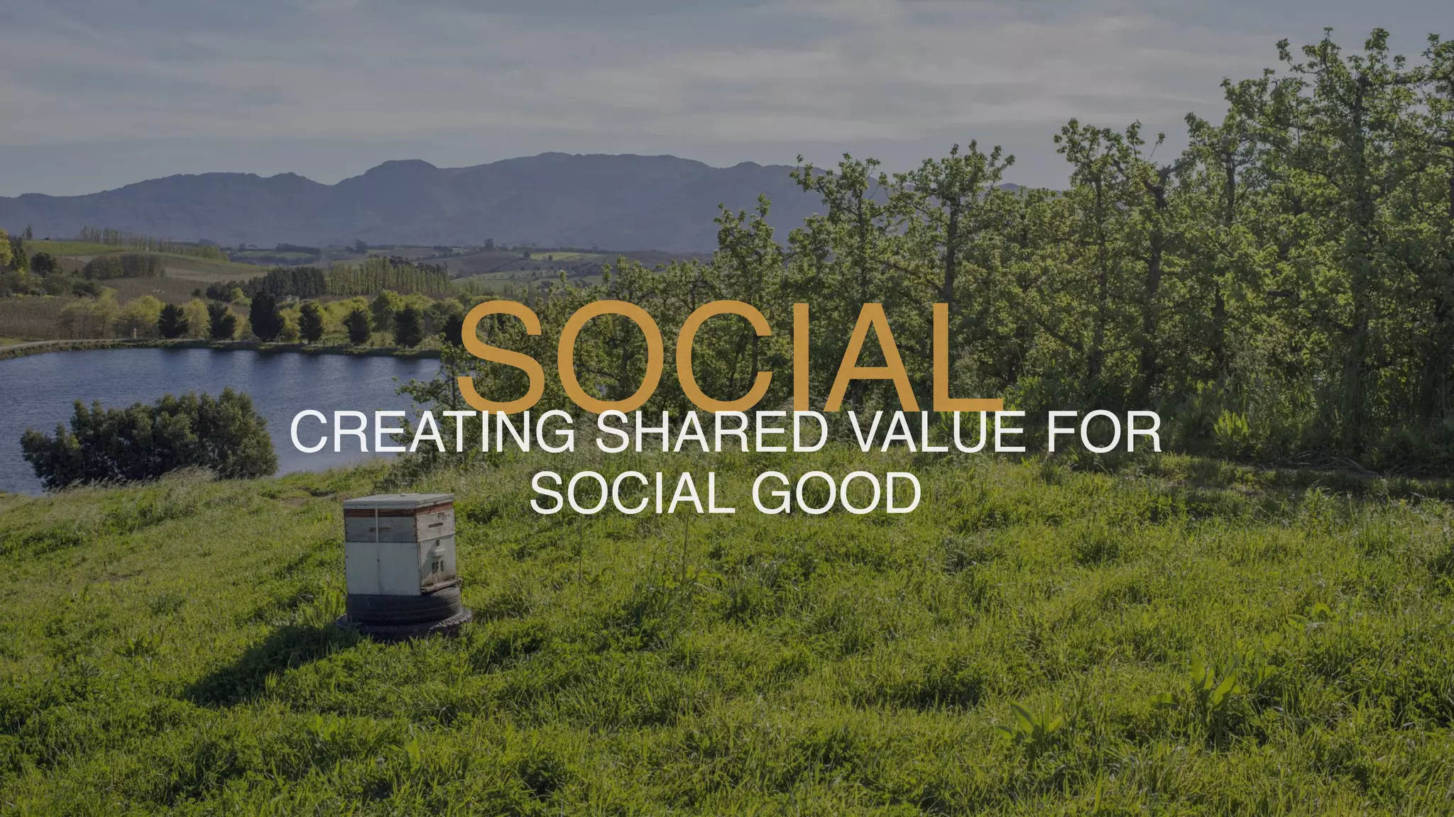 Orchid Bertelsen (Nestle): The Virtual Flight of the Honey Bee | PPT