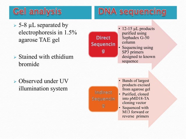 Nested PCR,Fusion primers, Integrated PCR | PPTX