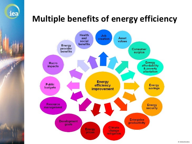 Spreading the Net: The Multiple Benefits of Energy Efficiency