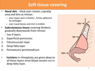 Surgical anatomy of nose | PPTX