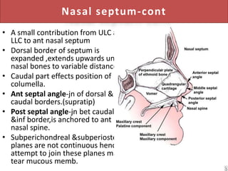 Surgical anatomy of nose | PPTX