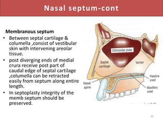 Surgical anatomy of nose | PPTX