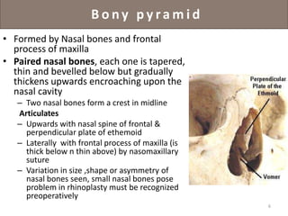 Surgical anatomy of nose | PPTX