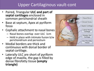 Surgical anatomy of nose | PPTX