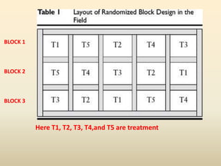 Experimental design in Plant Breeding | PPTX
