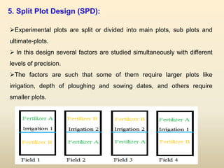 Experimental design in Plant Breeding | PPTX