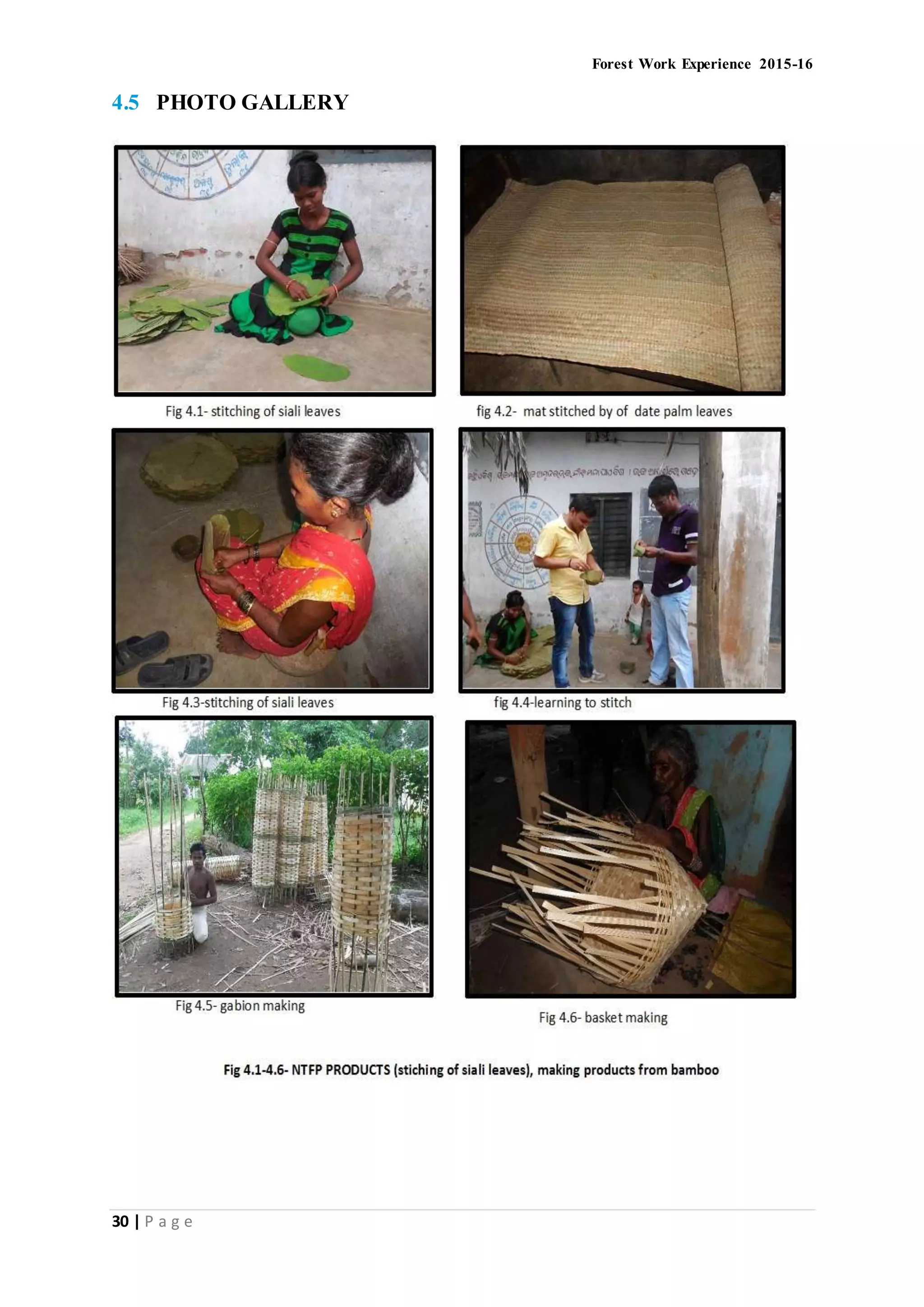 FWE 2015-16 PART-1 North GHUMSUR DIVISIONAL ATTACHMENT | DOCX | Geology ...