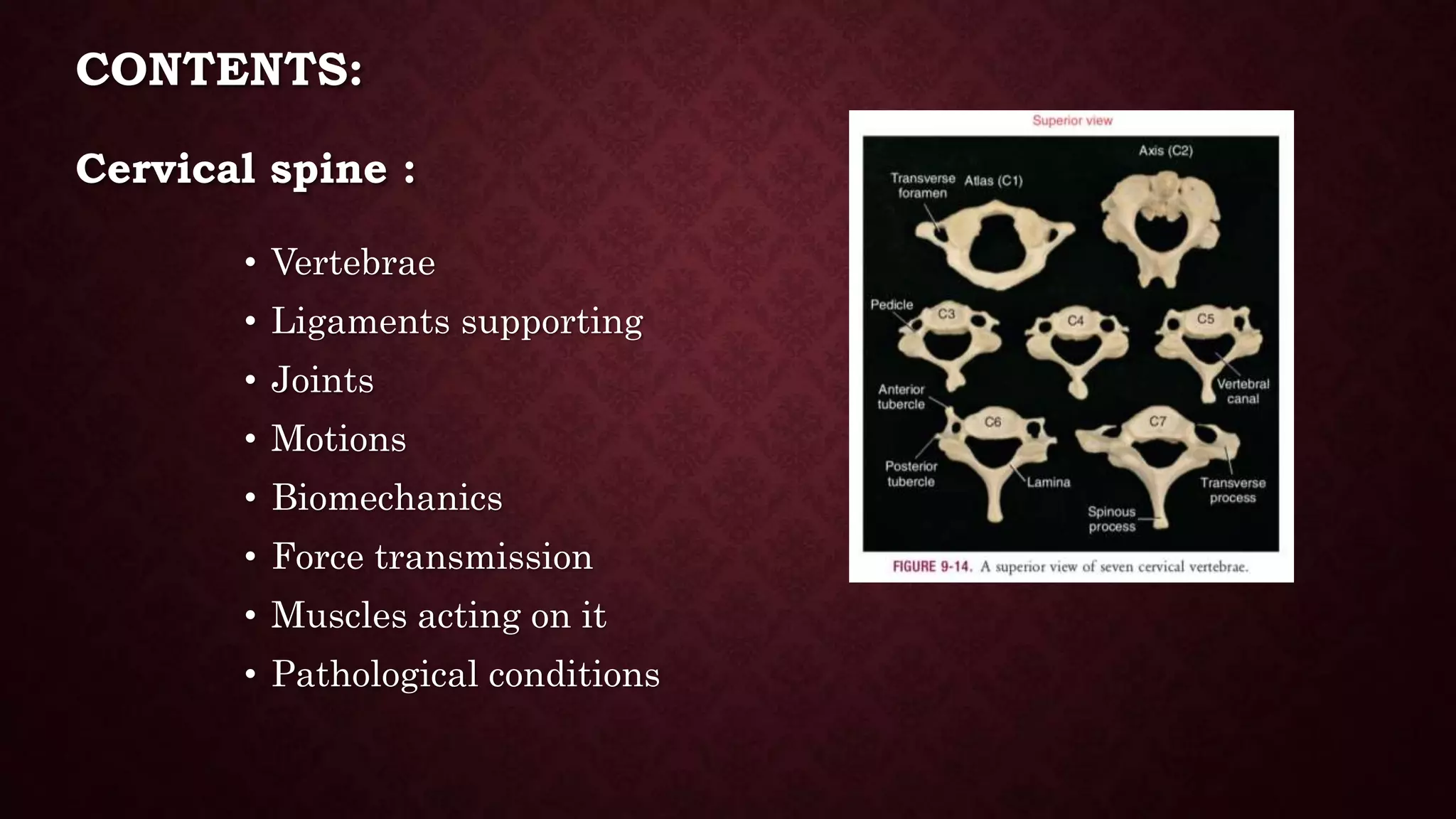 Applied Biomechanics of Cervical Spine | PPTX