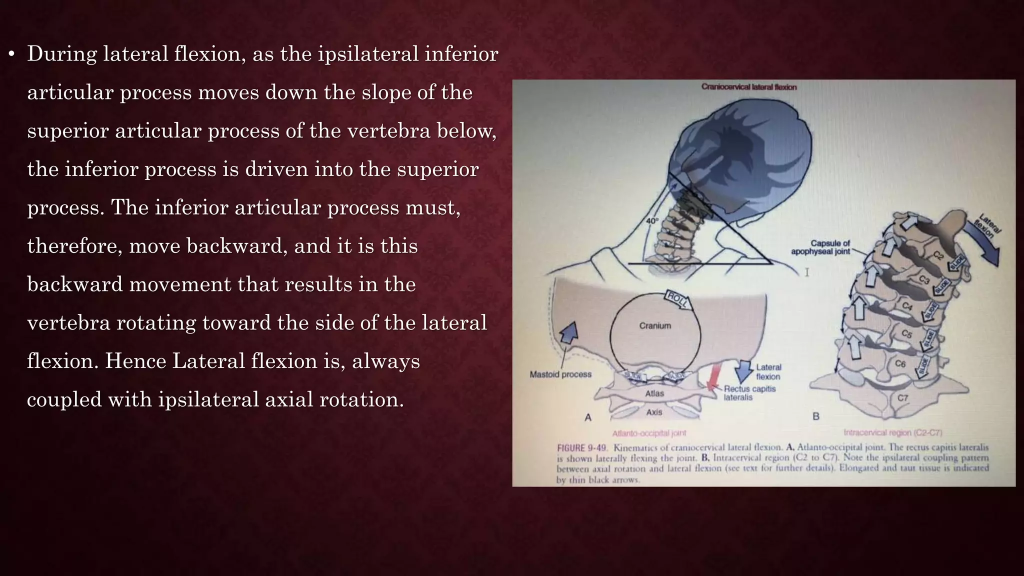 Applied Biomechanics of Cervical Spine | PPTX