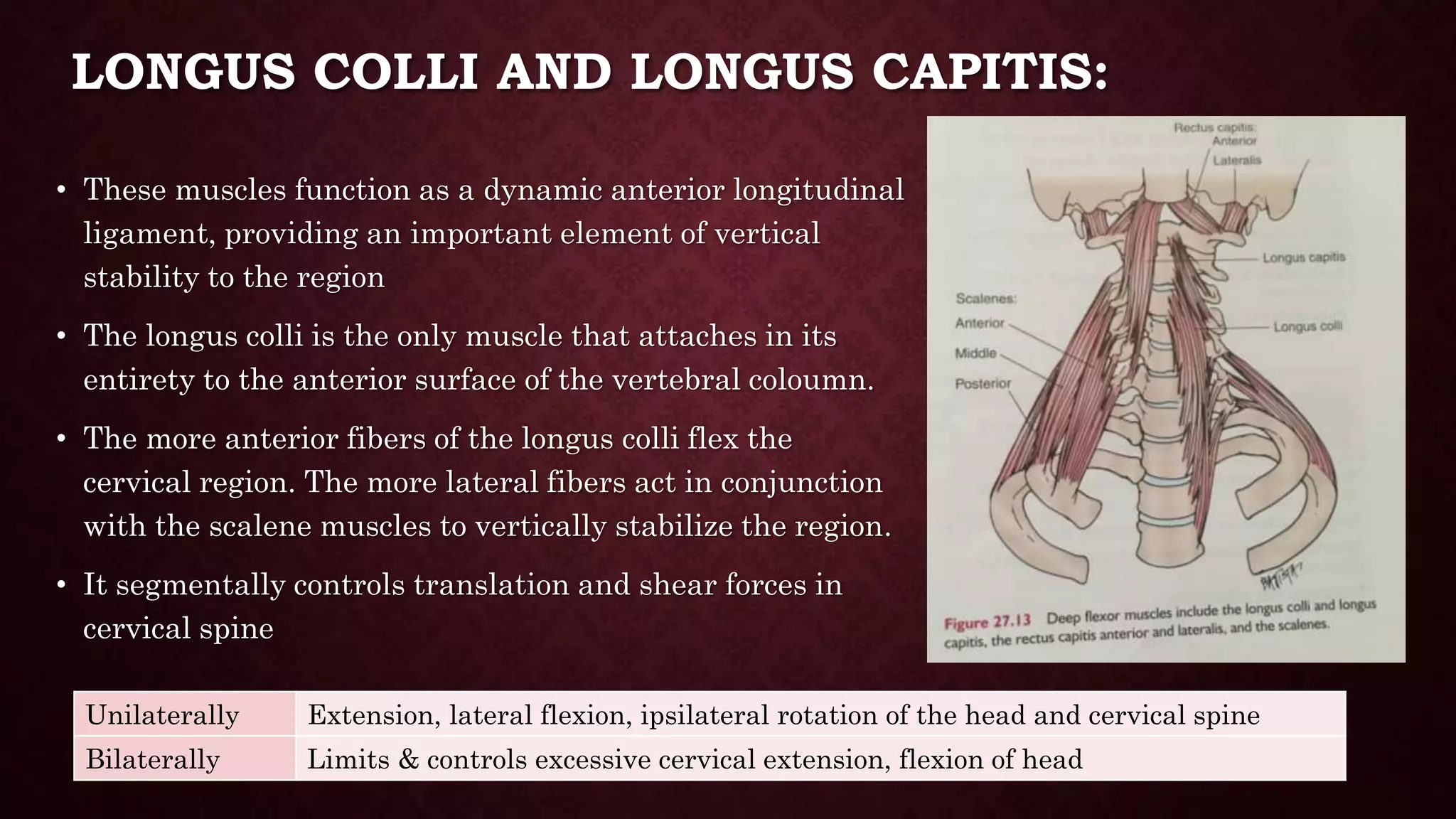 Applied Biomechanics of Cervical Spine | PPTX