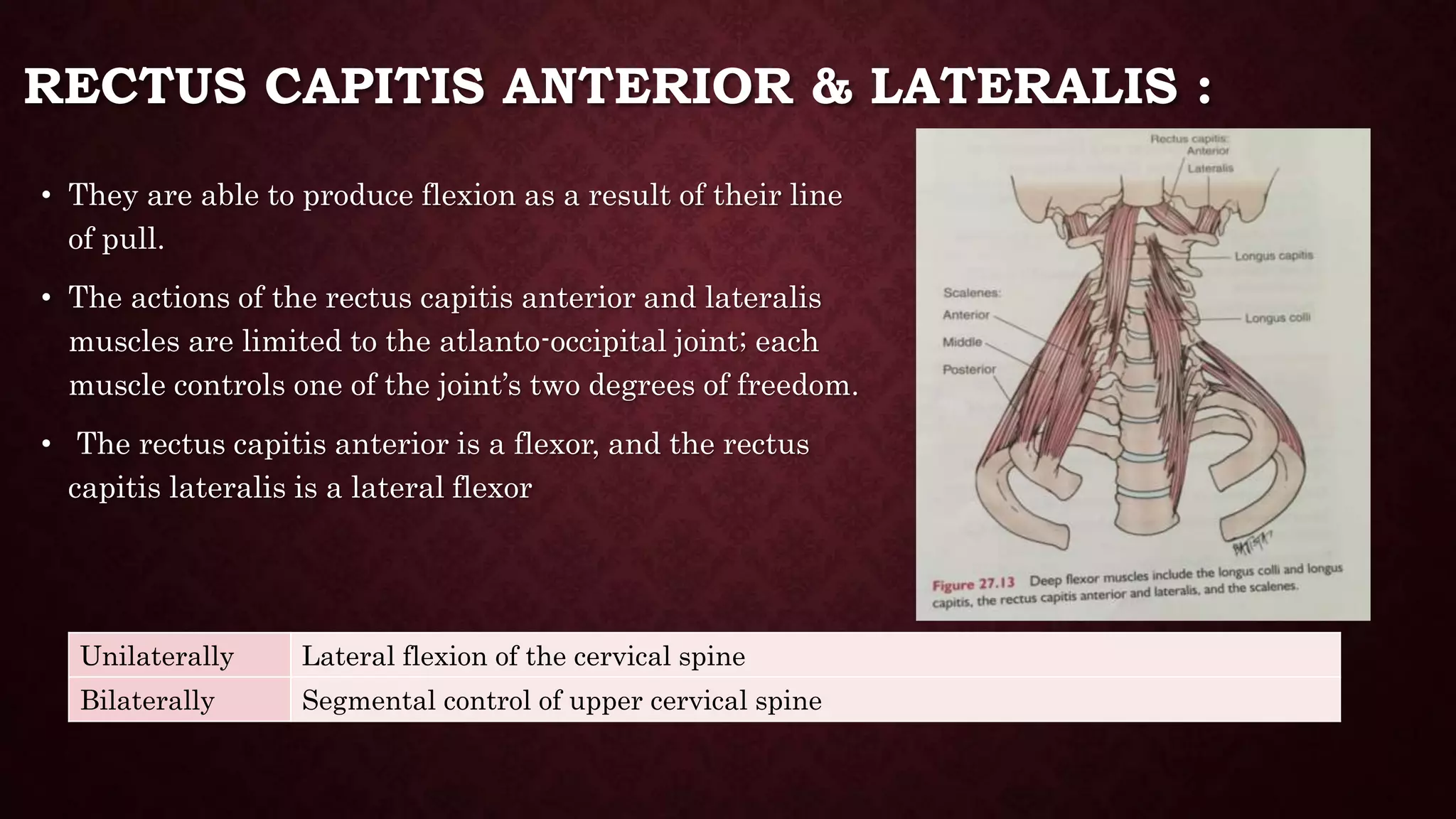 Applied Biomechanics of Cervical Spine | PPTX