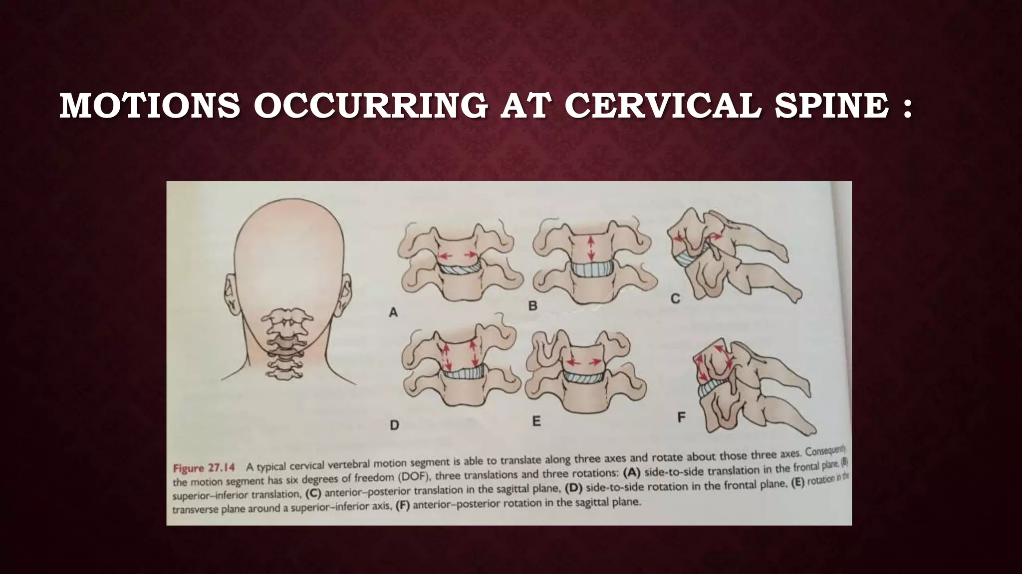 Applied Biomechanics of Cervical Spine | PPTX