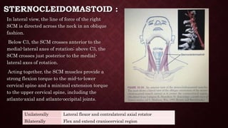 Applied Biomechanics of Cervical Spine | PPTX