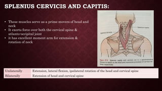 Applied Biomechanics of Cervical Spine | PPTX