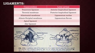 Applied Biomechanics of Cervical Spine | PPTX